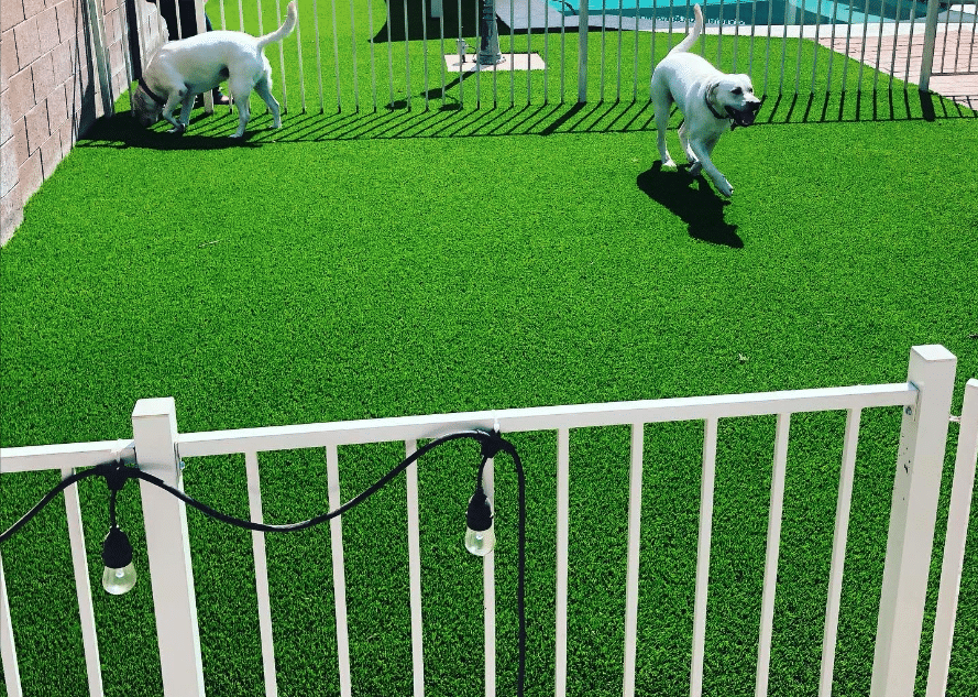 4 Ways Fake Grass for Dogs is Best | Turf Monsters